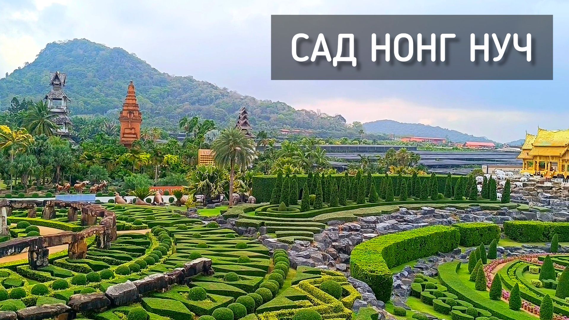 Тропический сад Нонг Нуч в Таиланде 🌴 Шоу и змеиная ферма / Nong Nooch Tropical Garden #нонгнуч