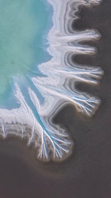 Австралия. Соленое  озеро в Уитбелте, по форме напоминающего великолепное дерево