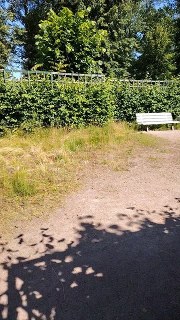 Петергоф.Лабиринт.Природа!!!