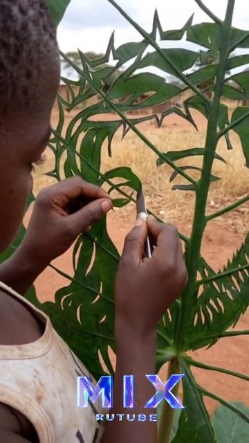 Мальчик вырезал изображение Иисуса на гигантском листе 🍃