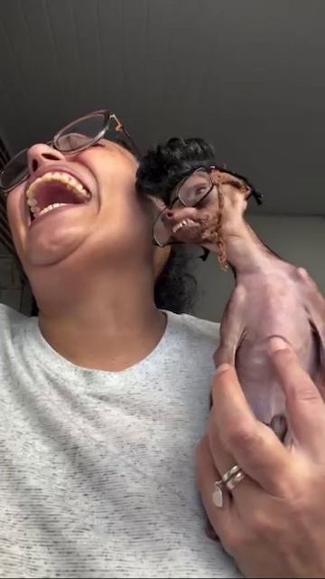 Некоторые питомцы слишком похожи на своих хозяев