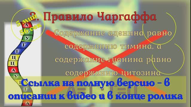 Правила Чаргаффа. Решение задач. Видеоурок.