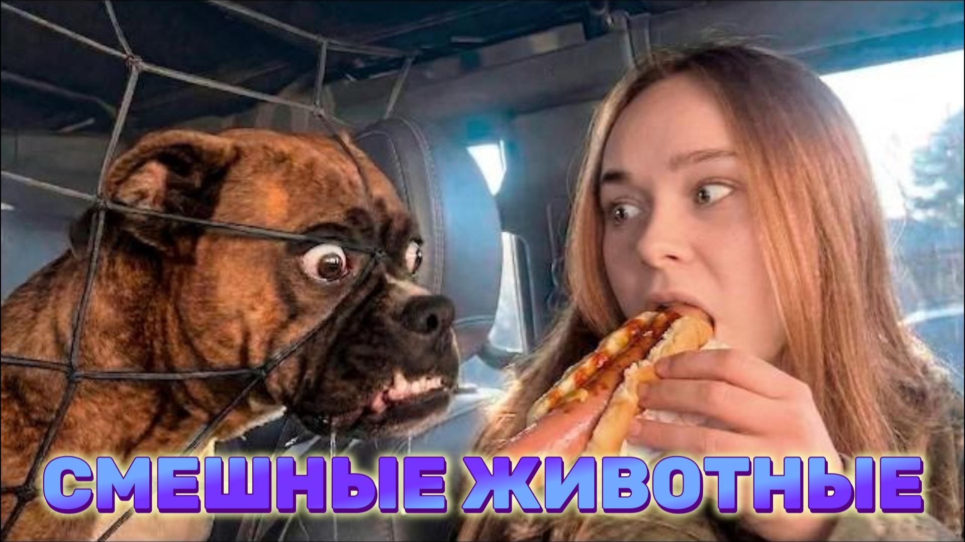 ЖИВОТНЫЕ, КОТОРЫЕ ЗАСТАВЯТ ВАС УЛЫБНУТЬСЯ!