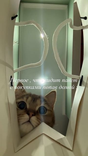 Пакетные истории