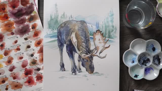 Как выбрать принадлежности для акварели 🎨 Вопросы и ответы. Часть  №2