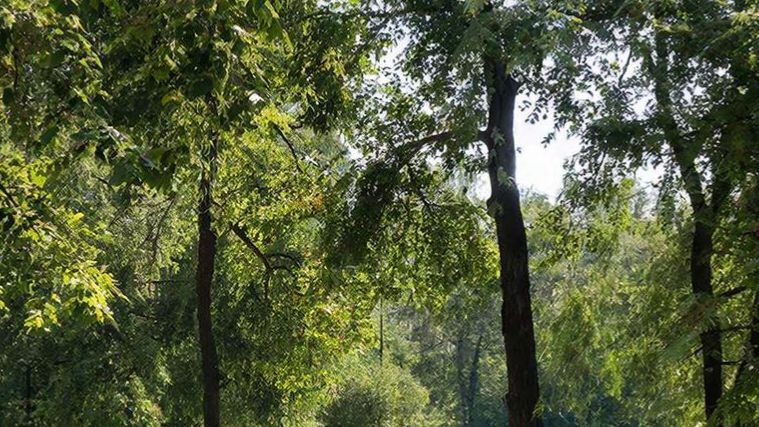 Золотая осень! 2025 год