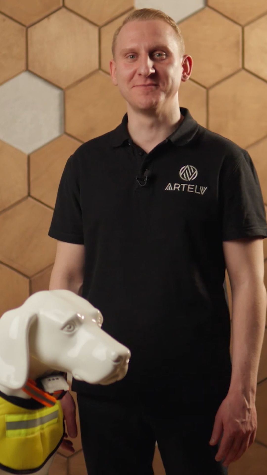 Оффлайн карты в gps-трекере для собак