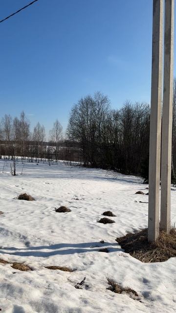 Продается участок 45.8 сотки в ДПК Поляны, между д.Конюхово и д. Корелы, Александровский район.