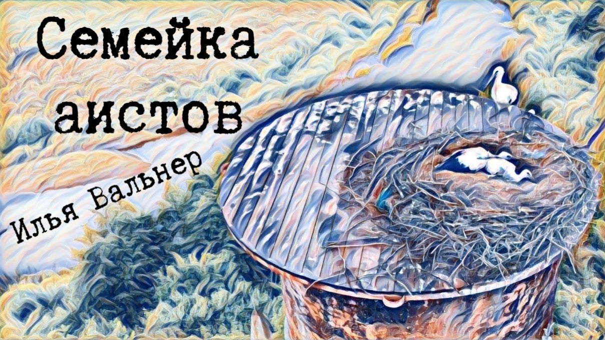 Аисты в усадьбе Марьино. Съемка с дрона.