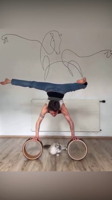 💥 Нах это  нужно? | Стендап #FilmFusionMagic