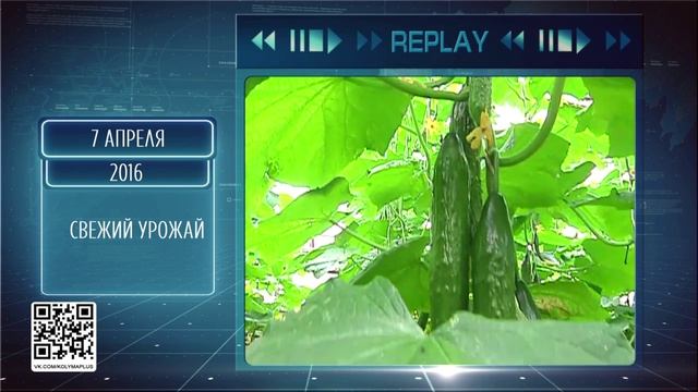 Replay 7 апреля 2026