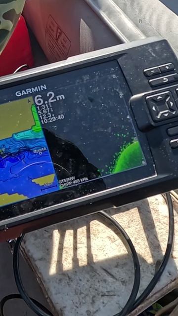 Нашли леща между кос