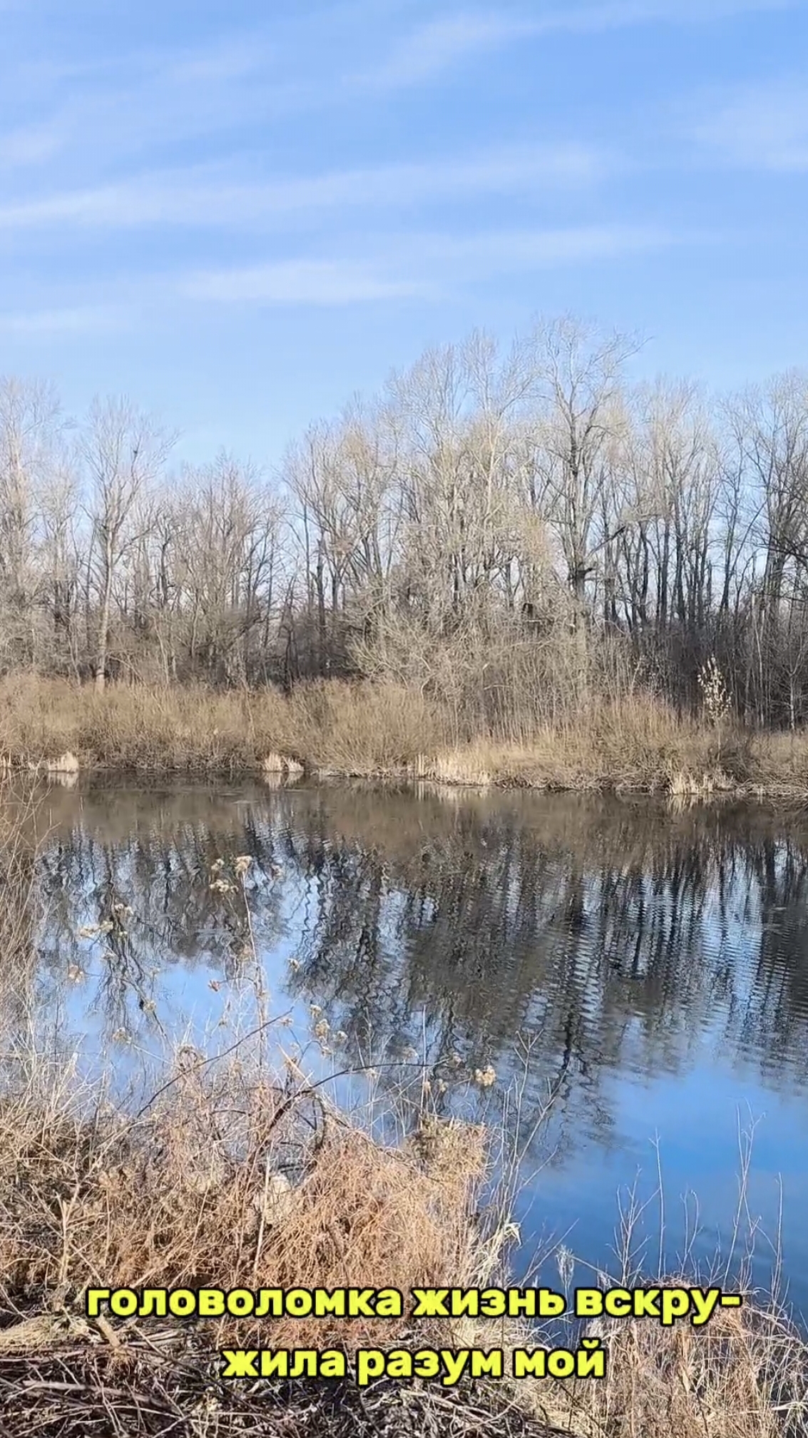 Головоломка жизнь