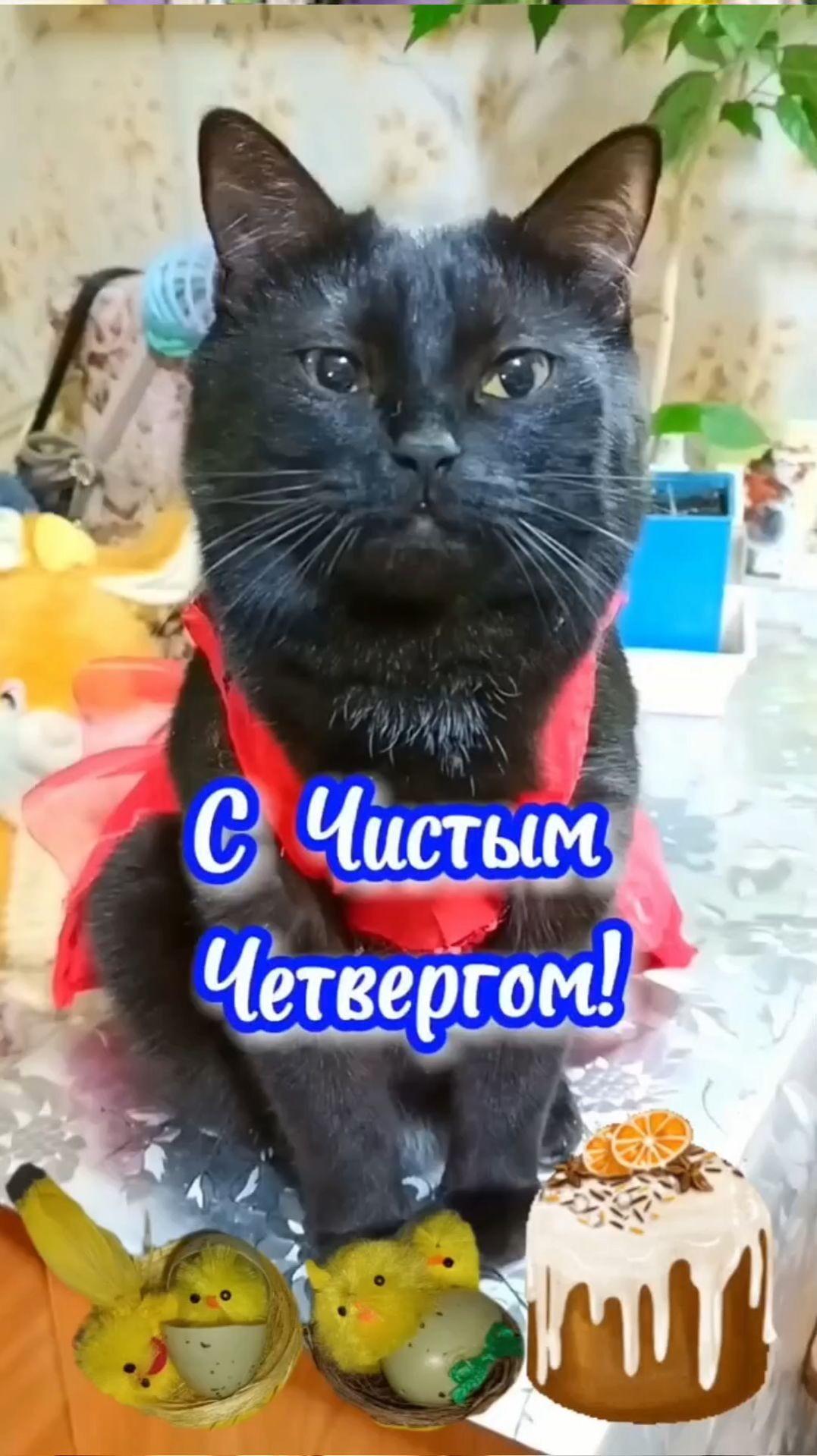 С ЧИСТЫМ ЧЕТВЕРГОМ!