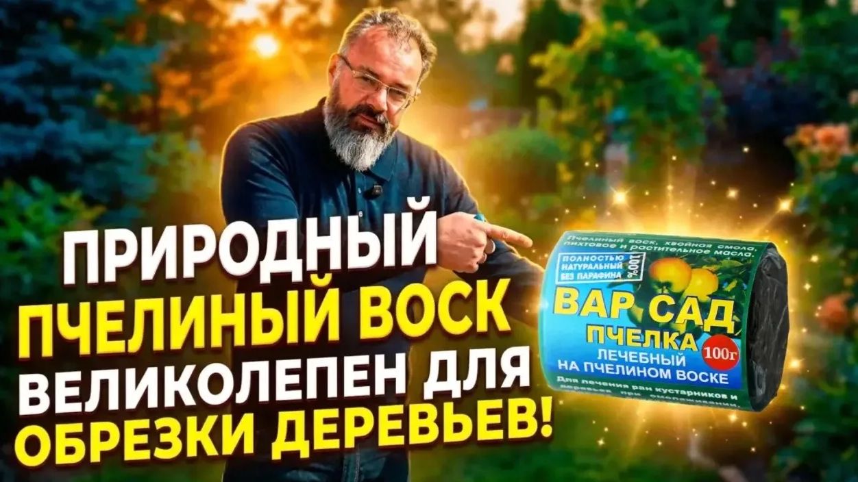 Садовый вар, который лечит деревья после обрезки. Натуральный Вар Сад Пчелка.