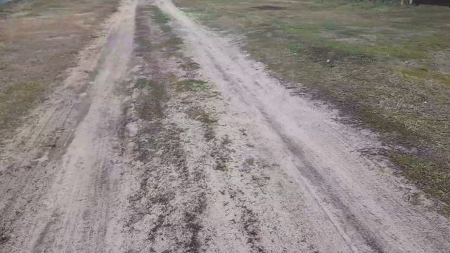 ВЕЗУ КОТОВ НА ПРИВИВКУ, СЪЕЗДИЛА НА ДАЧУ