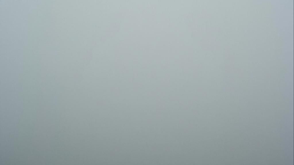 Таловая, Таловский район, туман на улице и пение птиц и какие-то хлопки. 03-04-2026