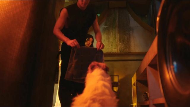 16.2  Двойной путь (Китай 2025)