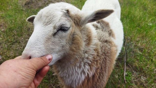 еще один сладкий пирожочек))))