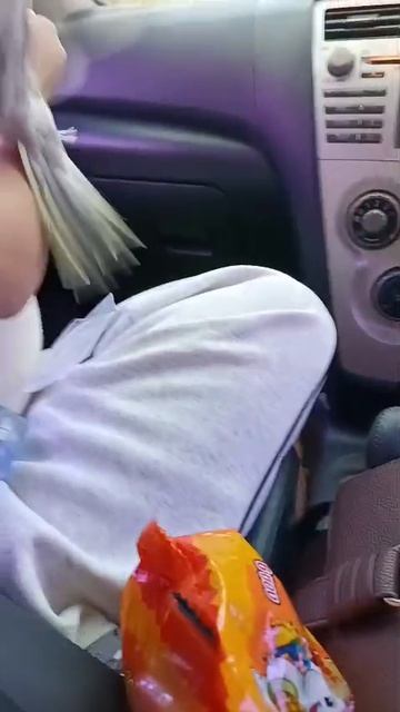 Автопутешественники