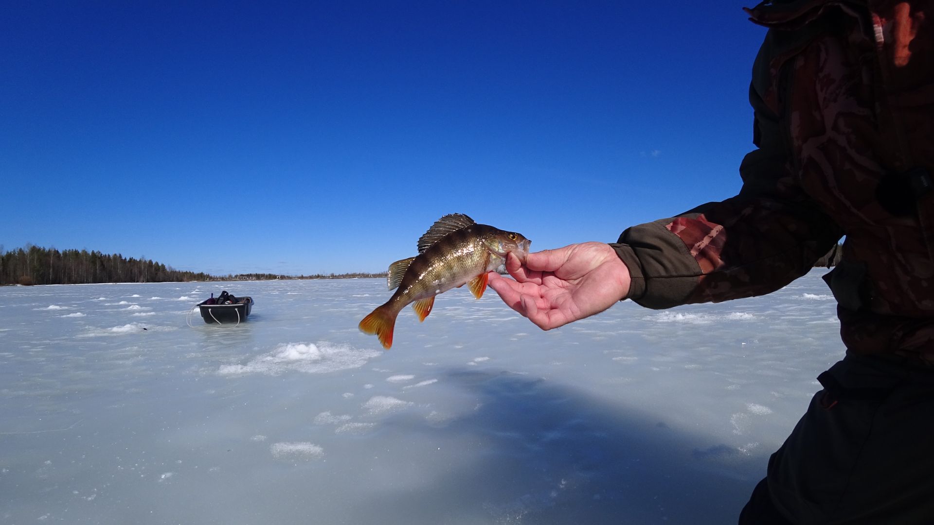 Рыбалка 5 апреля с подписчиком.