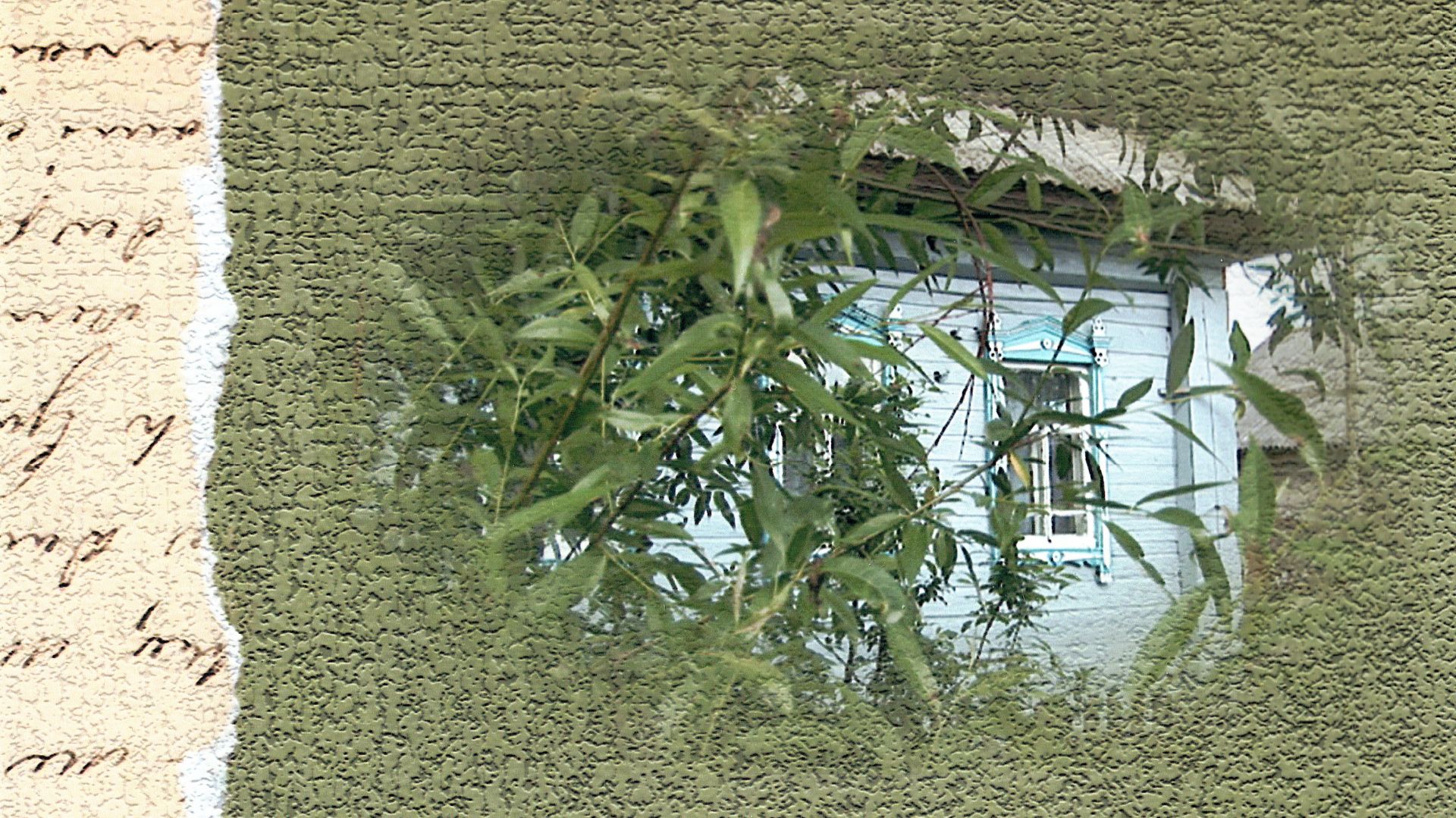 Окна дома моего