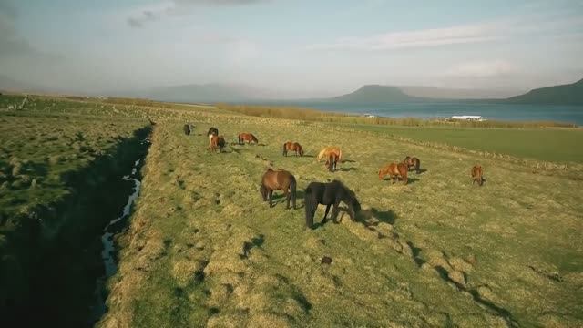 МУЗЫКА ДЛЯ ДУШИ. УСПОКАИВАЮЩИЕ МЕЛОДИИ ДЛЯ ГЛУБОКОГО СНА