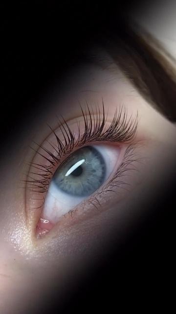 Работа студентов