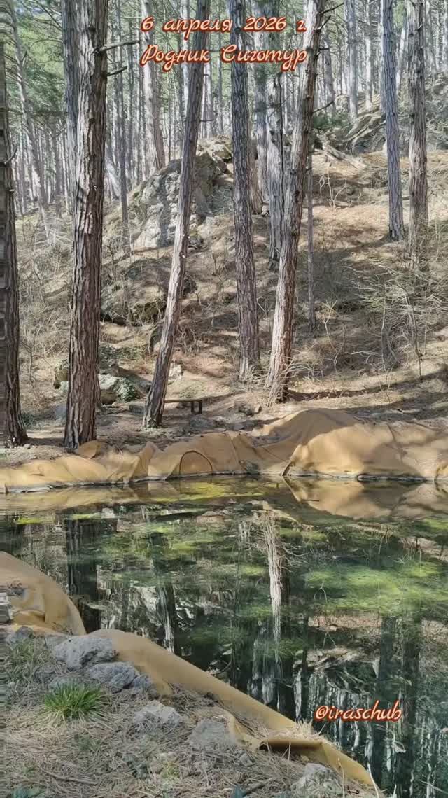 6 апреля 2026 г. Родник Сиготур #ялта #ялта2026 #васильевка #родниксиготур #сиготур