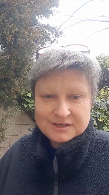 Октава отзыв