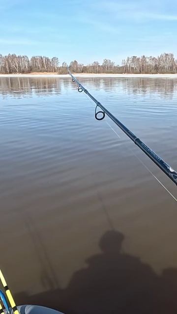 Первый заброс и первая поклевка сезона!