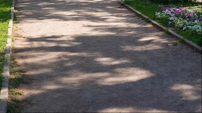 Таловая, прогулка по парку 04-04-2026