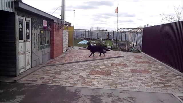 ч.20 Восточый