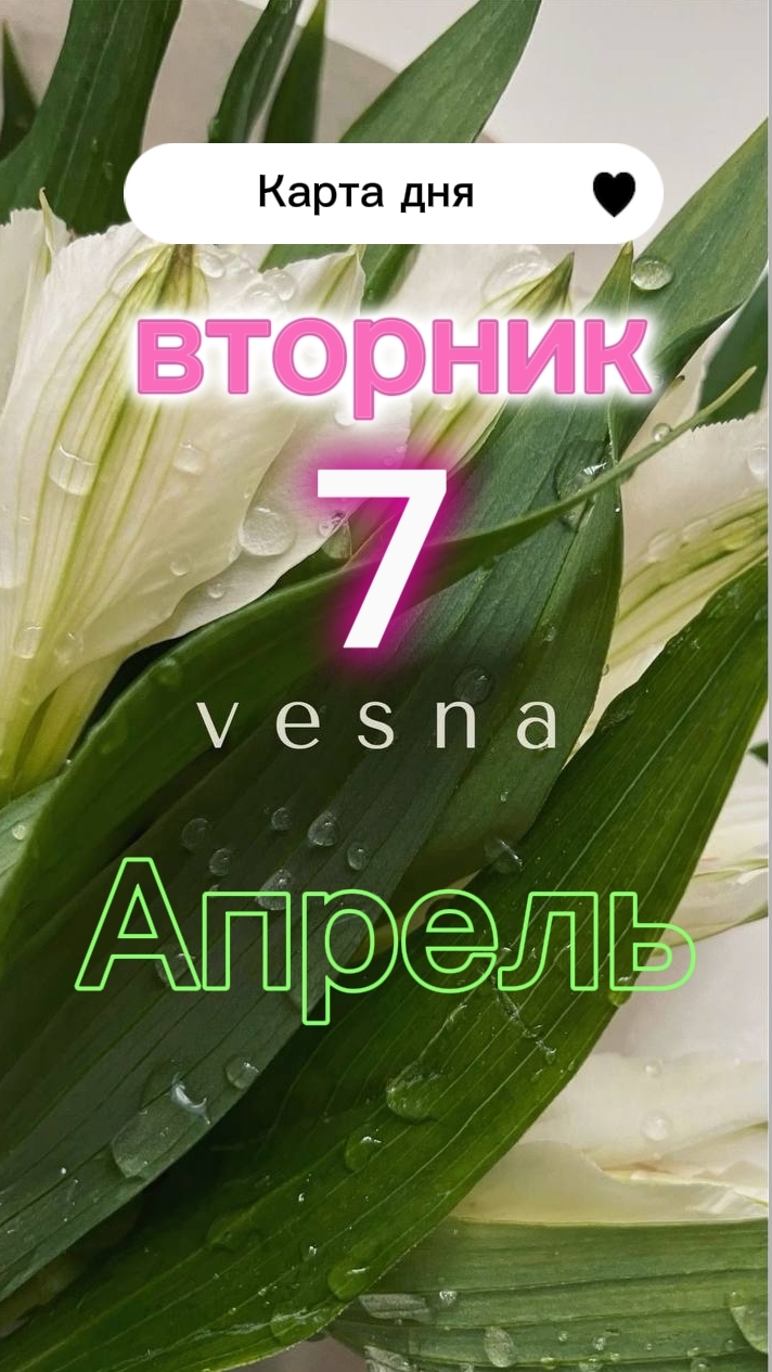 🧨7 жезлов🧨Карта дня на 07-04-2026