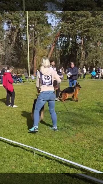 Encco team Carrera _4217