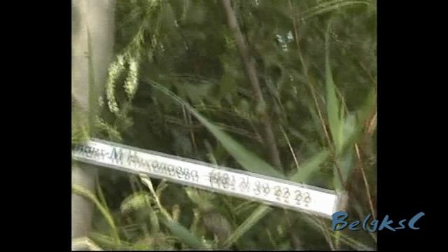 Дастер грязи не боится, что изэтого получилось.