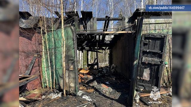 2026_04_08_Новости глав