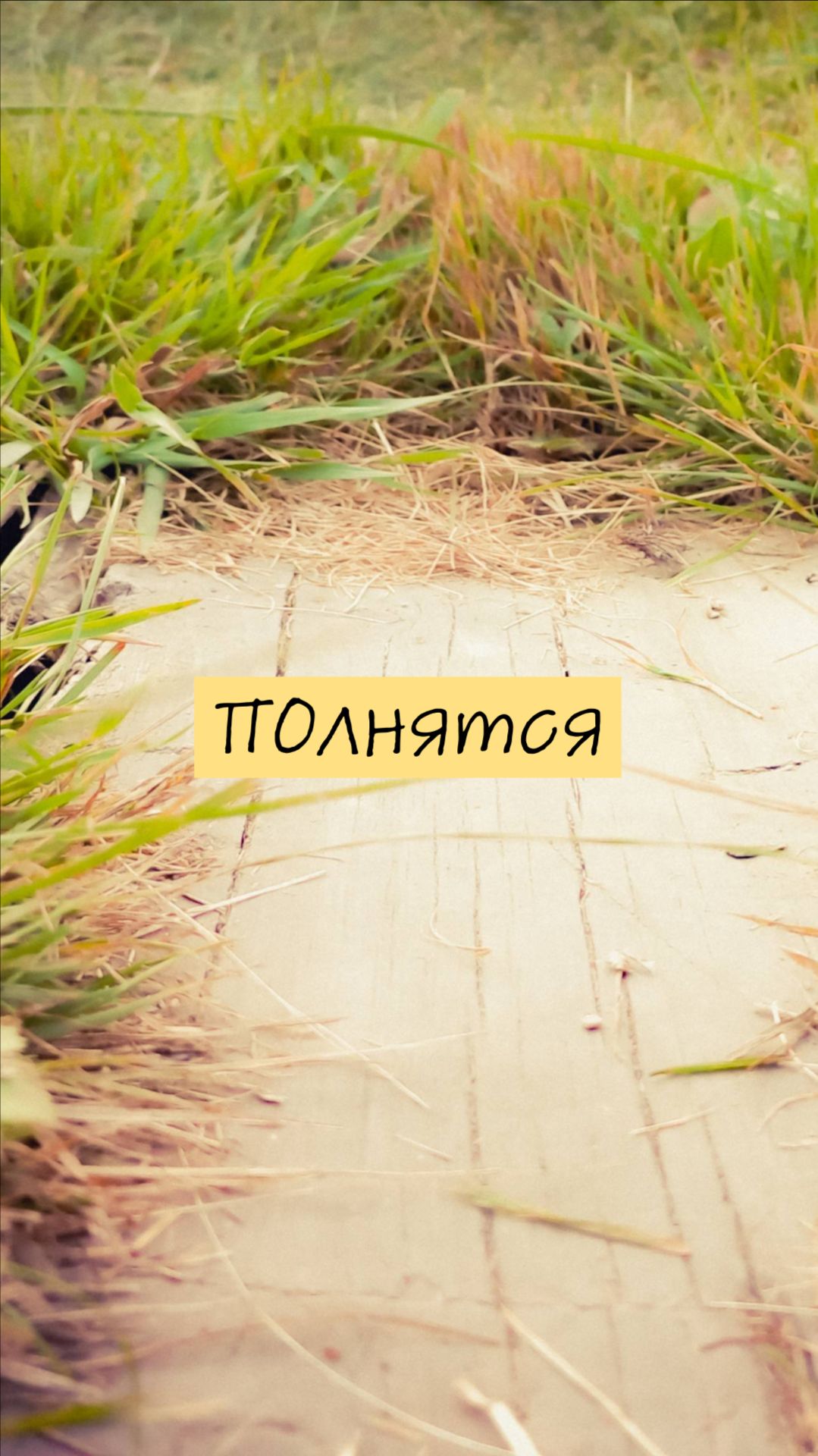 Полнятся #shorts