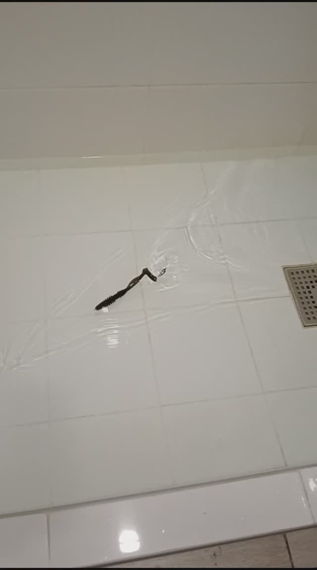 ПЛЫВЕТ КАК ЗМЕЯ