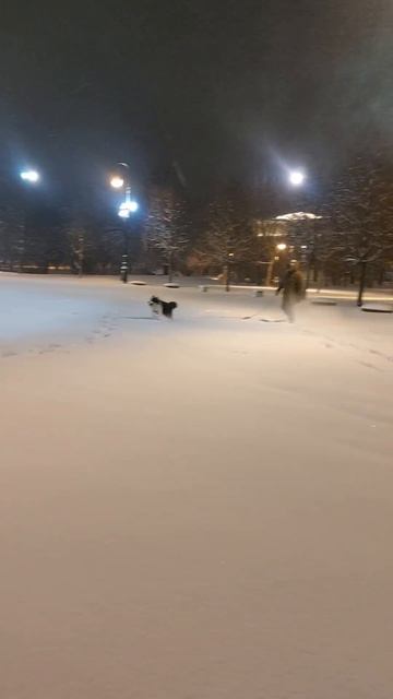 Первая ночь 2026