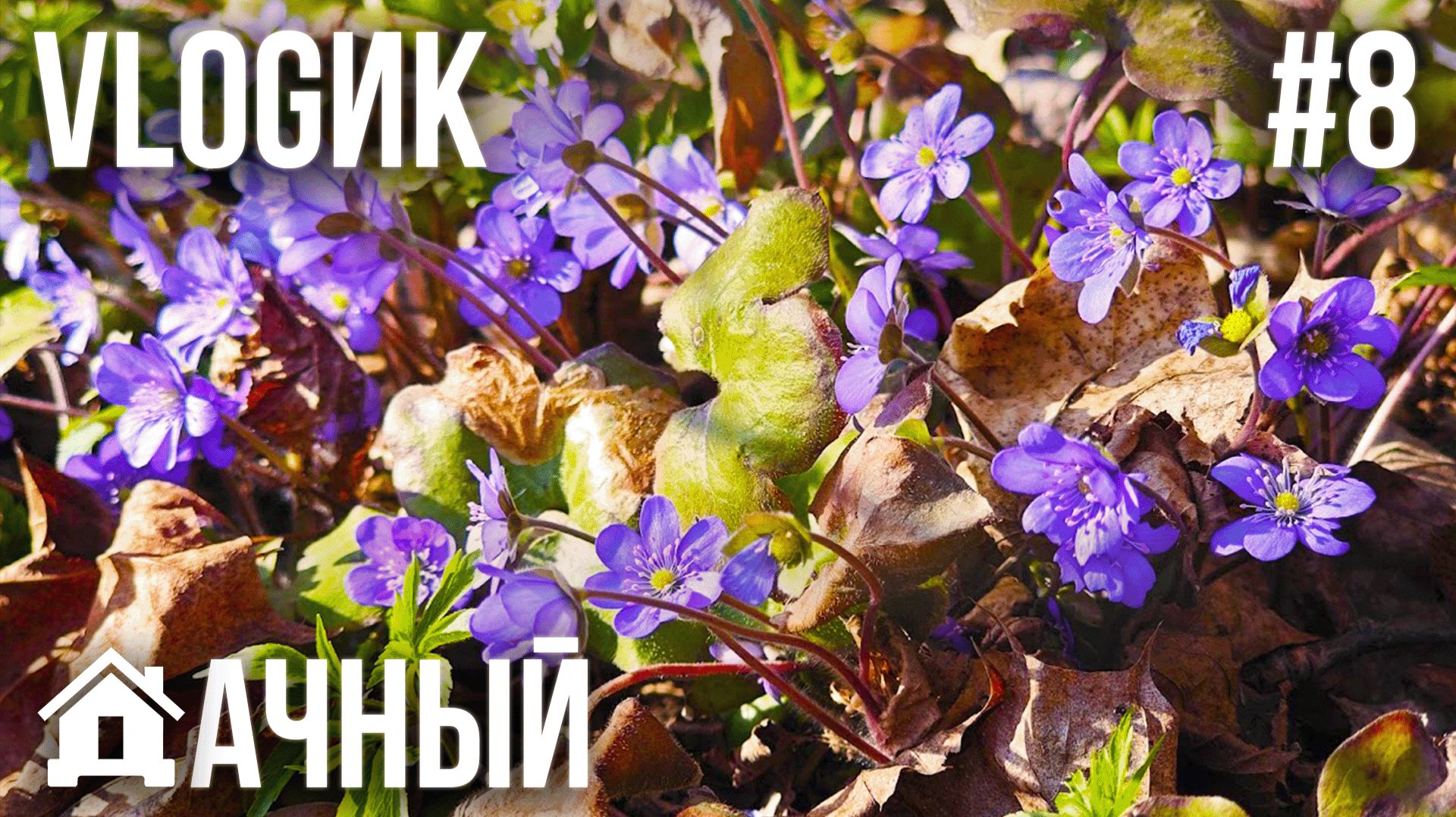 ДАЧНЫЙ VLOGик #8. СОБИРАЕМ НОВУЮ МЕБЕЛЬ НА ДАЧЕ. РАСЧИЩАЕМ УЧАСТОК ОТ ВЕТОК. НАШ ВЪЕЗД РАЗРЫЛИ