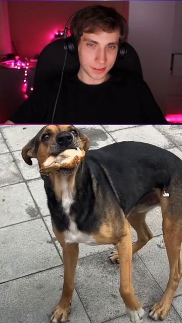 Дал собачке покушать