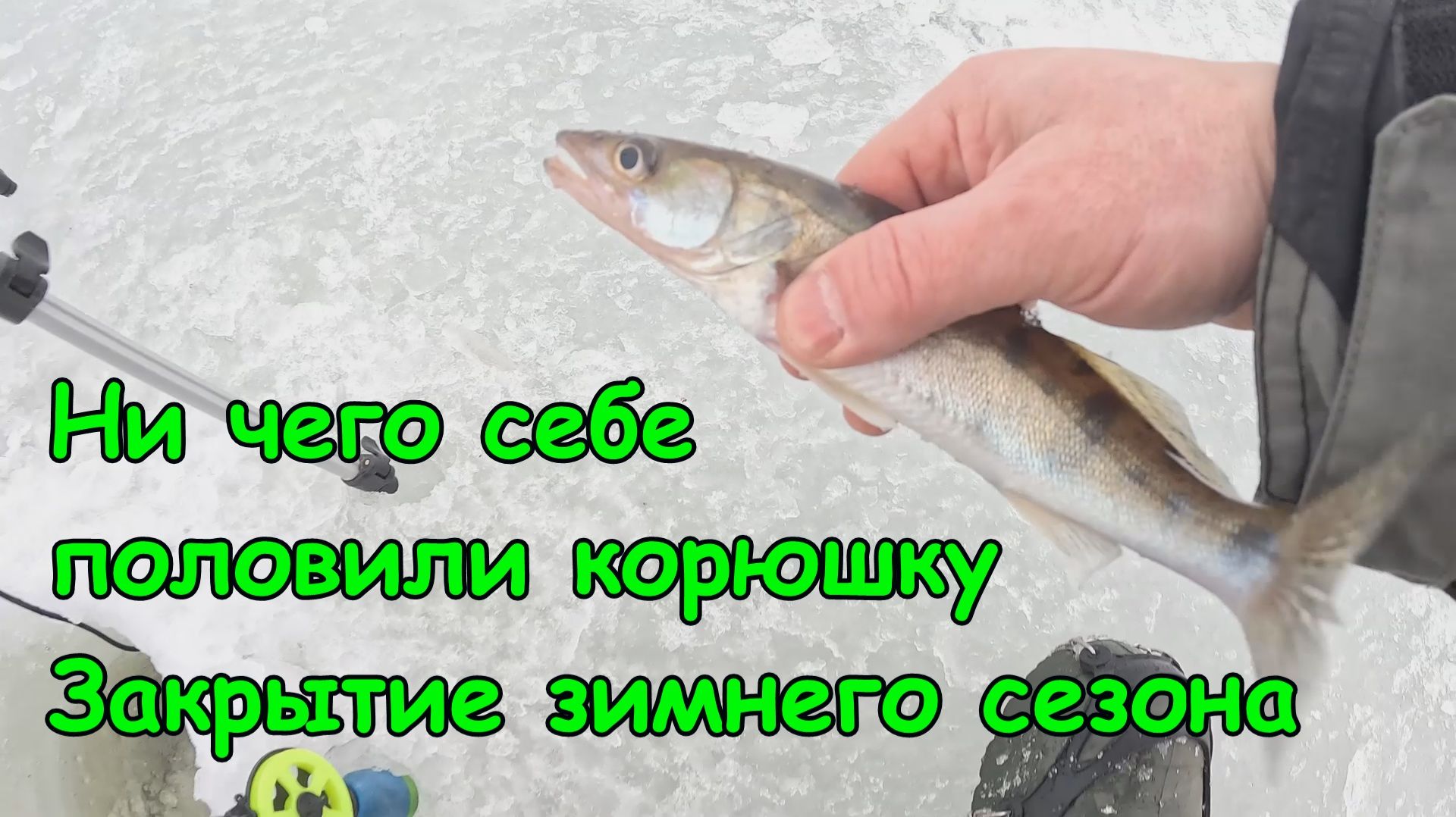 Закрытие зимнего сезона 25/26. Судак на мормышку) Лёд до свидания!