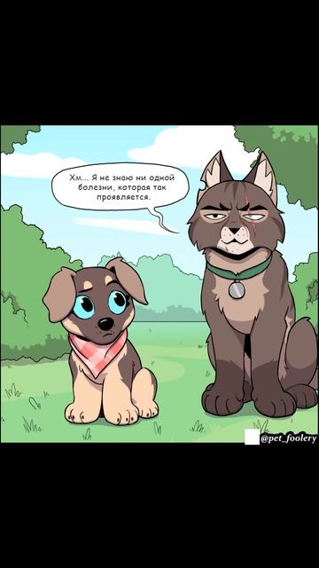 Пикси и Брут в параллельной вселенной)