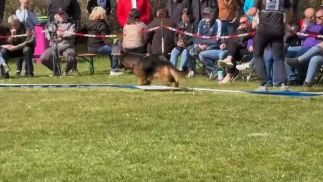 Qrixus von Pallas Athene