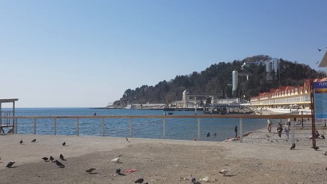 Типичный сочинский пляж