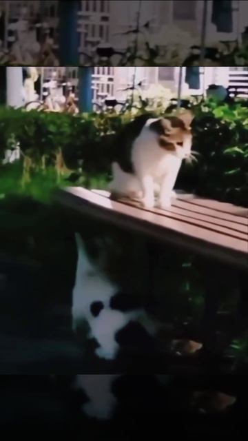 Ему понадобится психолог