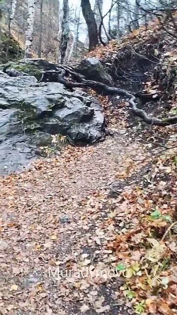 Октябрь в Мурадымово_ тишина, золото и древние скалы 🍂🪨