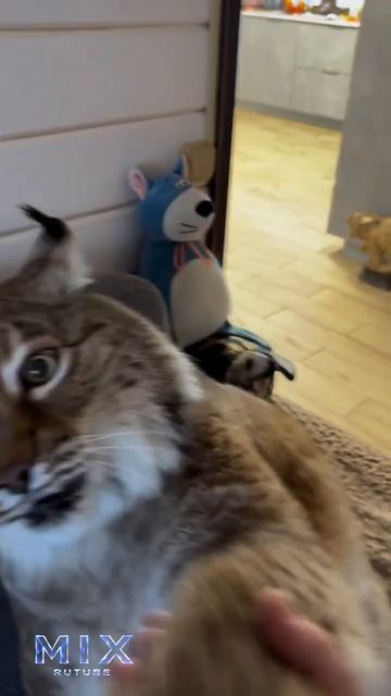 Никому не здрасьте пока не поедим 🤣🤣🤣