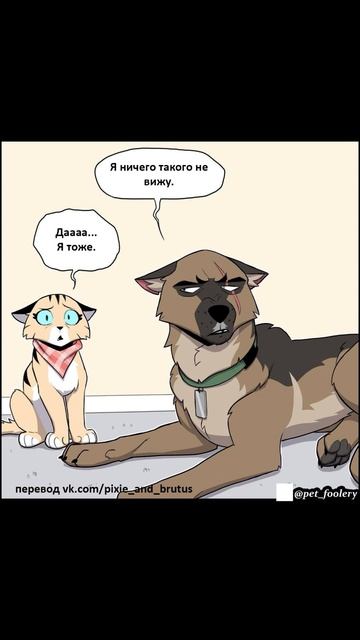 Воображение) Пикси и Брут